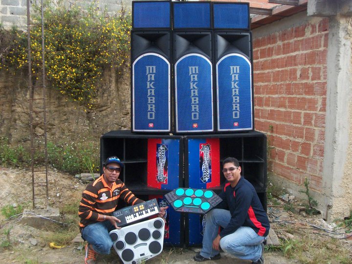 ebaudio: Modelos 4 -pick ups