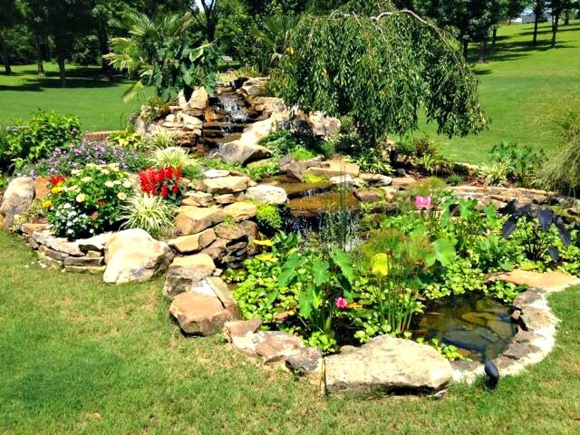 Visionary Aquatic Designs: A follow up on a project to show what a ...