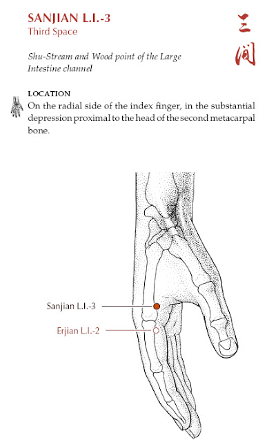 Acupuncture Masters: Acupuncture Points Database - Large Intestine channel