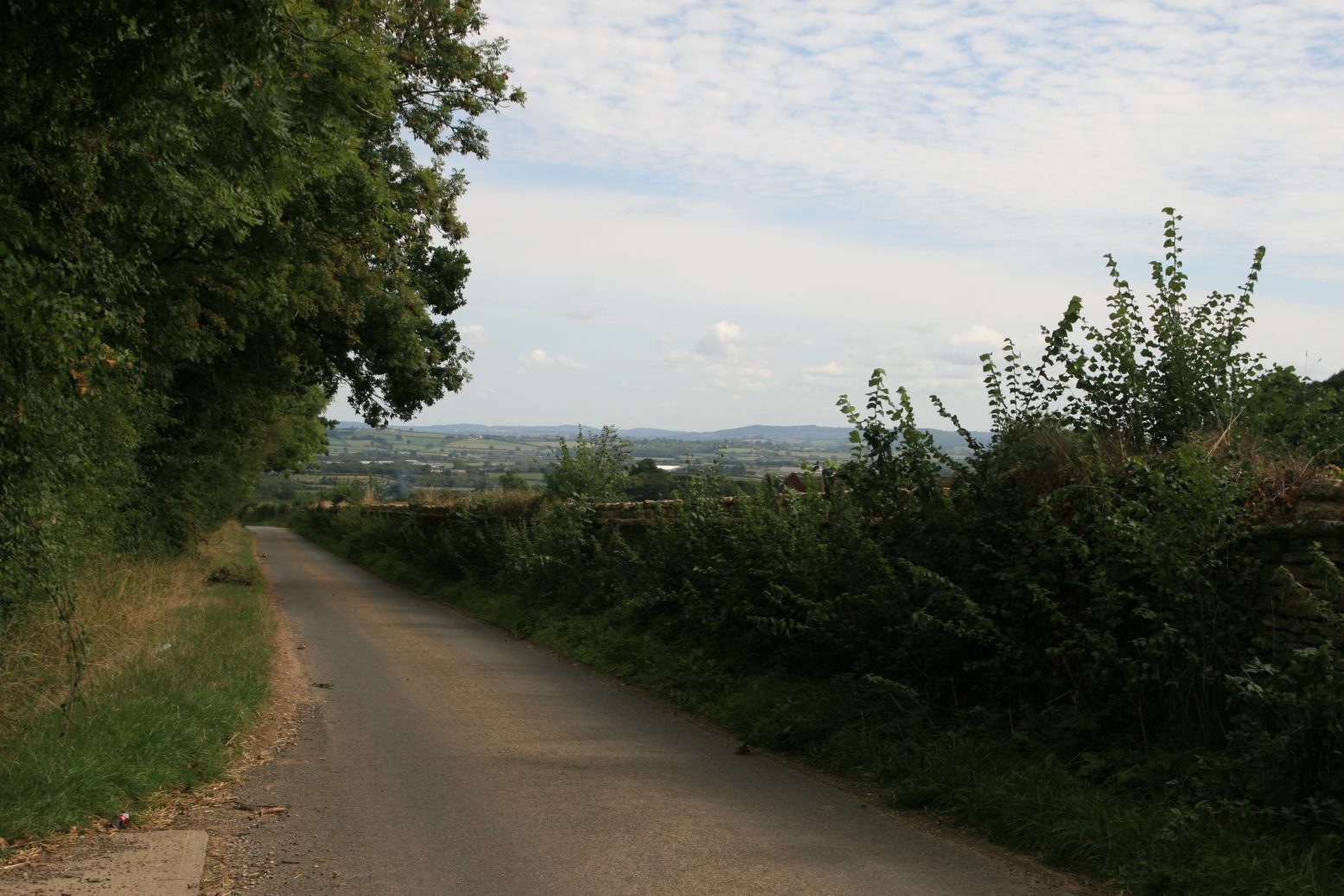 Walking Dorset's gridsquares: Stalbridge - 30th August 2018