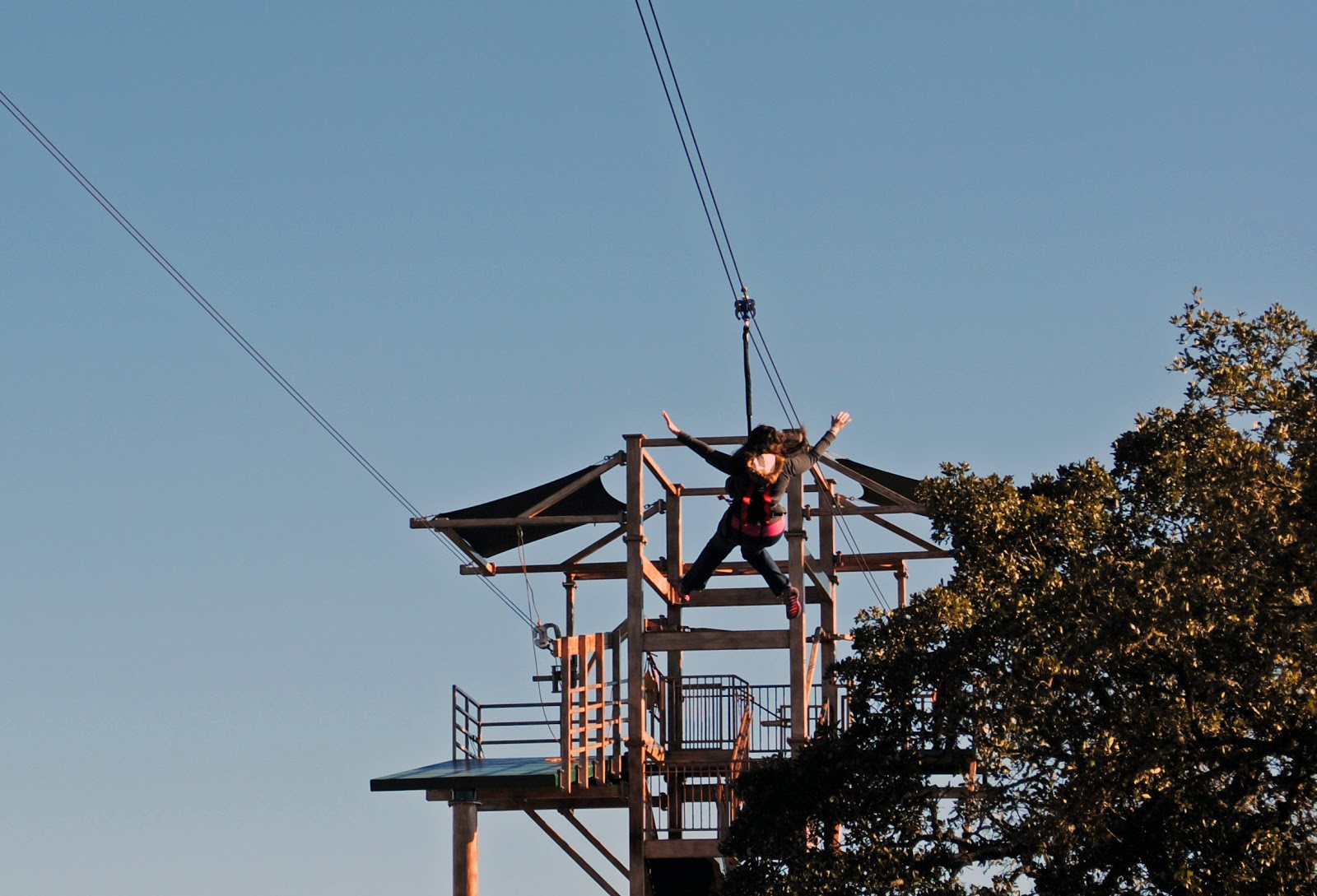 Live Laugh Lopez: Zip Line Fun!