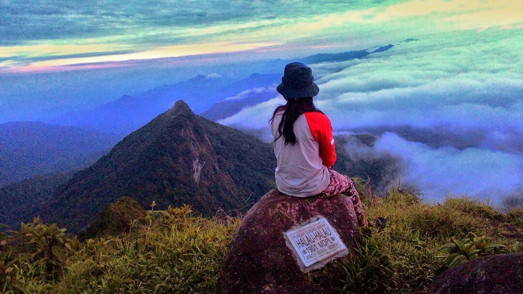 Gunung Halau-Halau 1901 MDPL, Puncak Tertinggi di Kalsel yang Eksotis ...