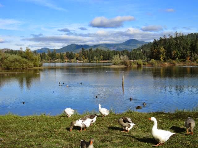 Hiking Sasquatch Country: Lake Selmac