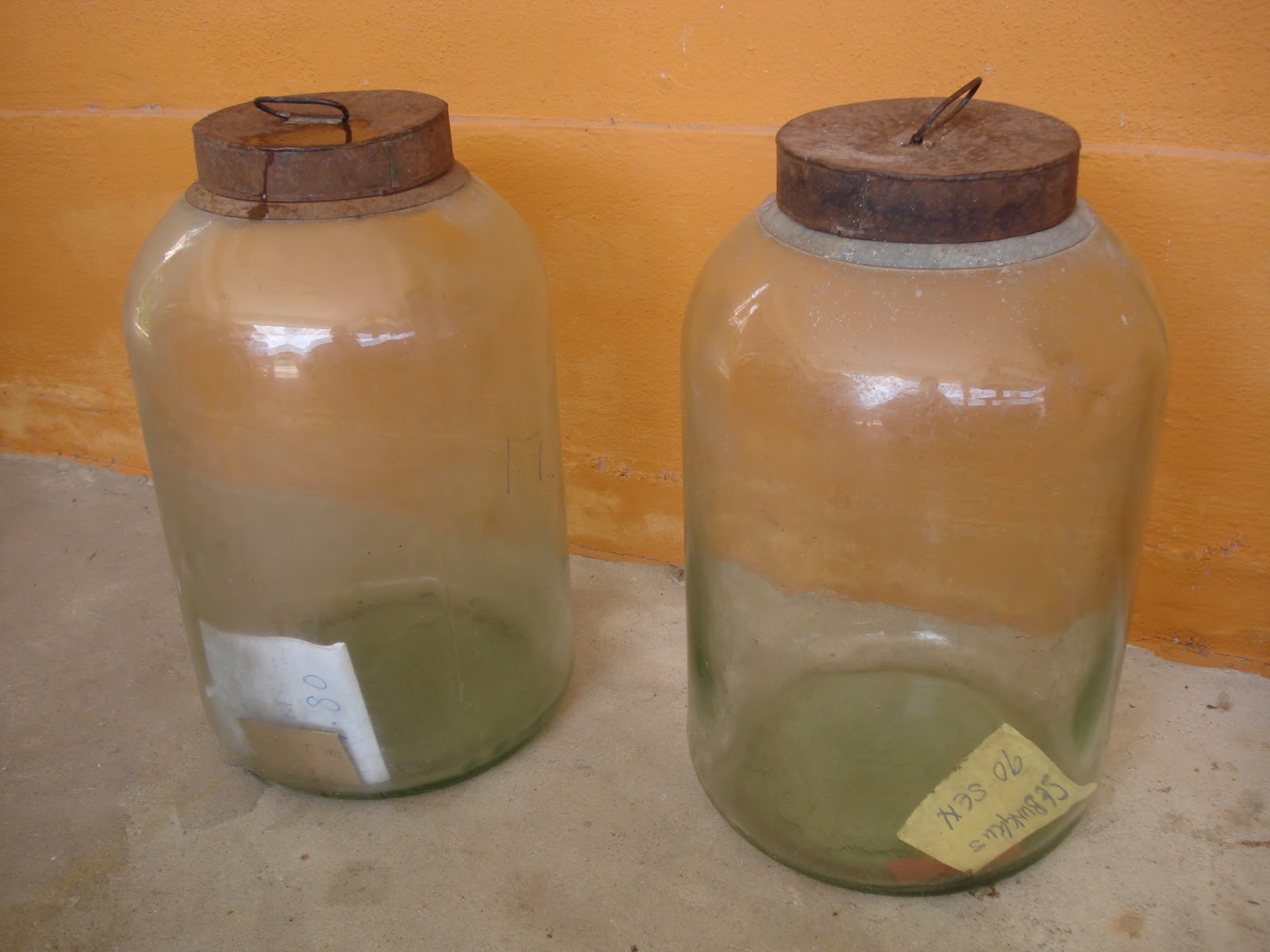 PERNAH KERJA AWET MAYAT