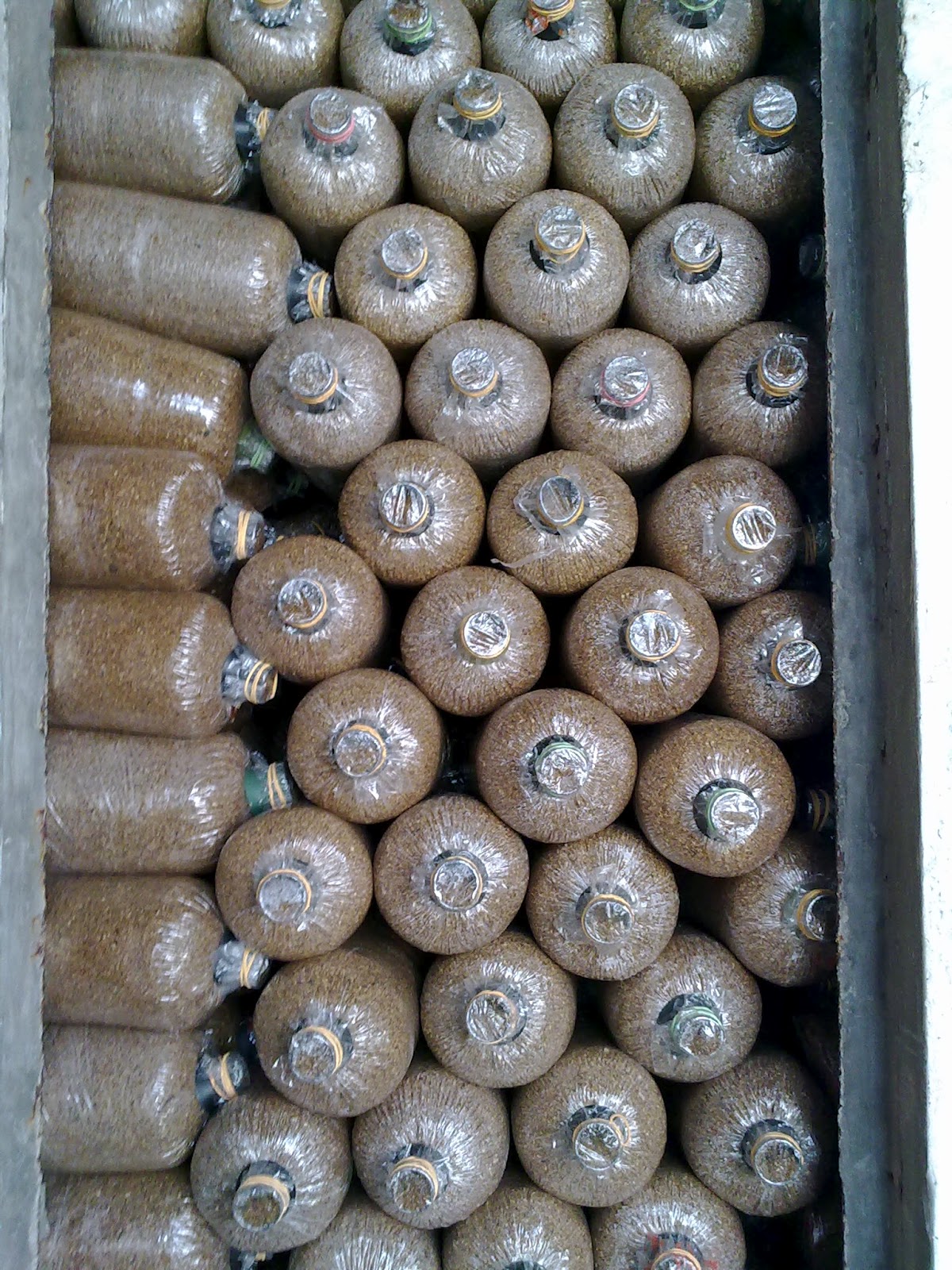 PEMBUATAN BAGLOG atau MEDIA jamur tiram ~ BUDIDAYA JAMUR TIRAM