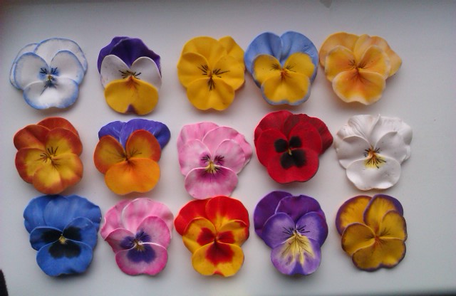 Handmade Creations: Panselute din gradina