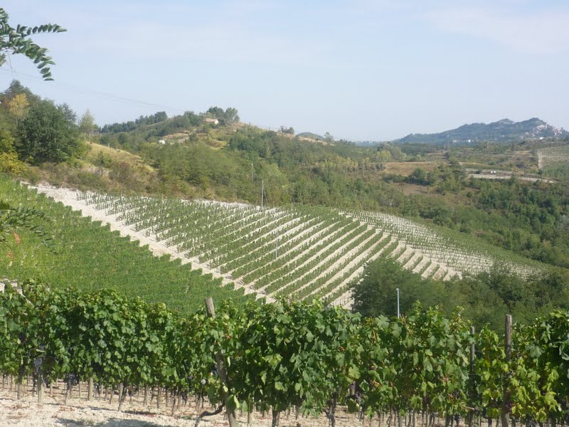 Blog Progetto Mornese: Experiencia de La Valponasca