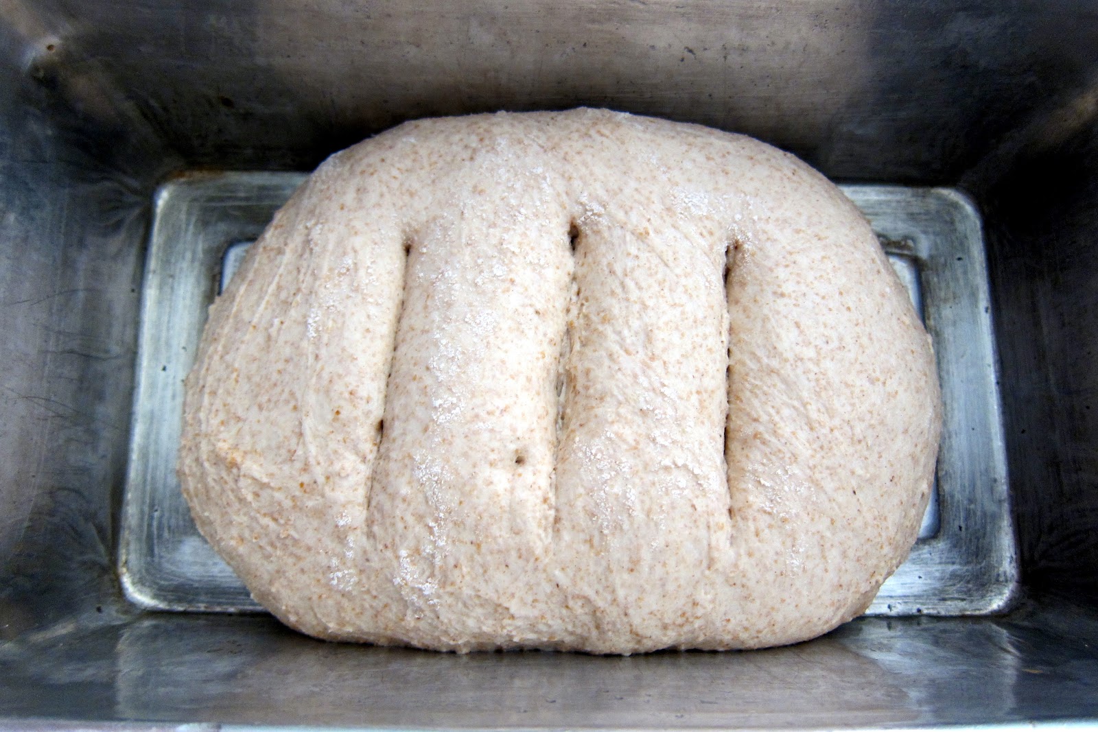 Life is a Journey, not a Destination: Dough. Bread. Love.