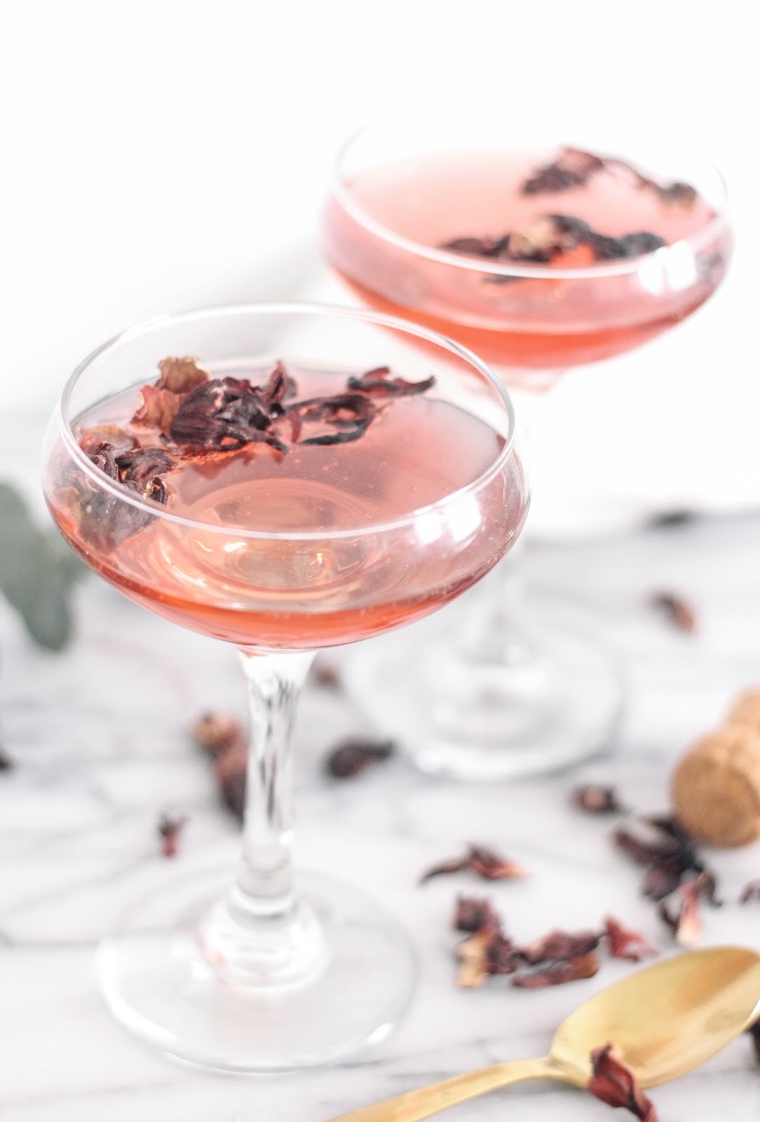 Hibiscus Ginger Sparkling Cocktail | SEE GLASS