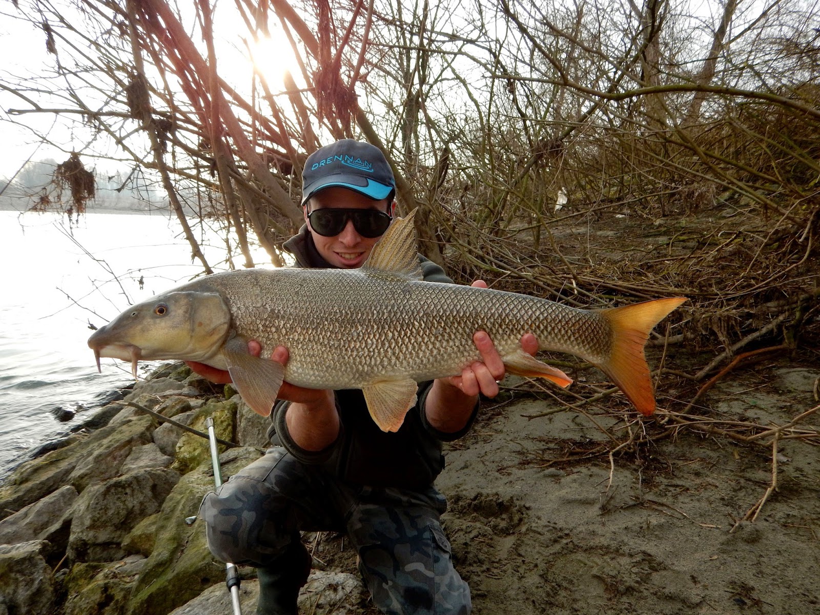 Walking On The Riverside: Il Grande Barbo Behemoth Dell'Adda