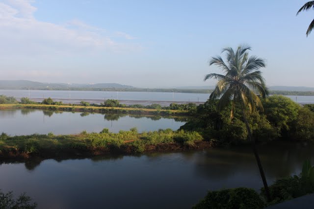 Bio-diversity of Goa: Ribandar & Chorao