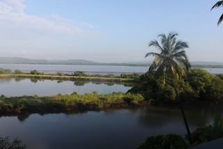 Bio-diversity of Goa: Ribandar & Chorao