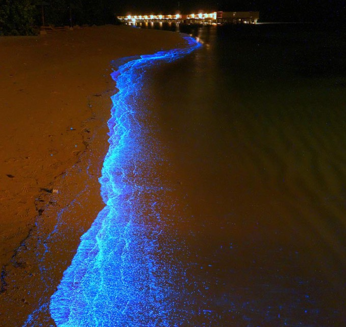 20 Great Beaches Around The World | TOOOPIC