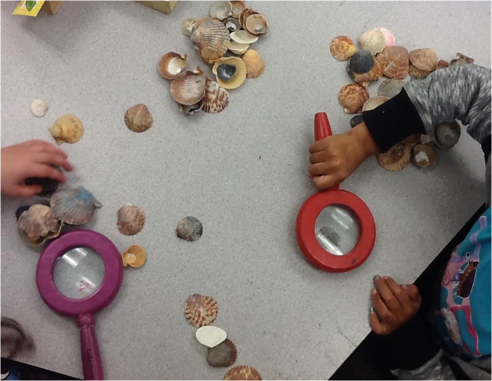 Christina's Kinder Blossoms: Five for Friday 3/11--.Show and Tell (March)