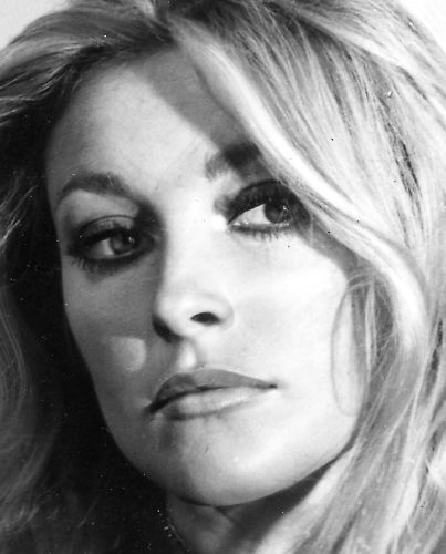 Sharon Tate 1967 : r/OldSchoolCelebs