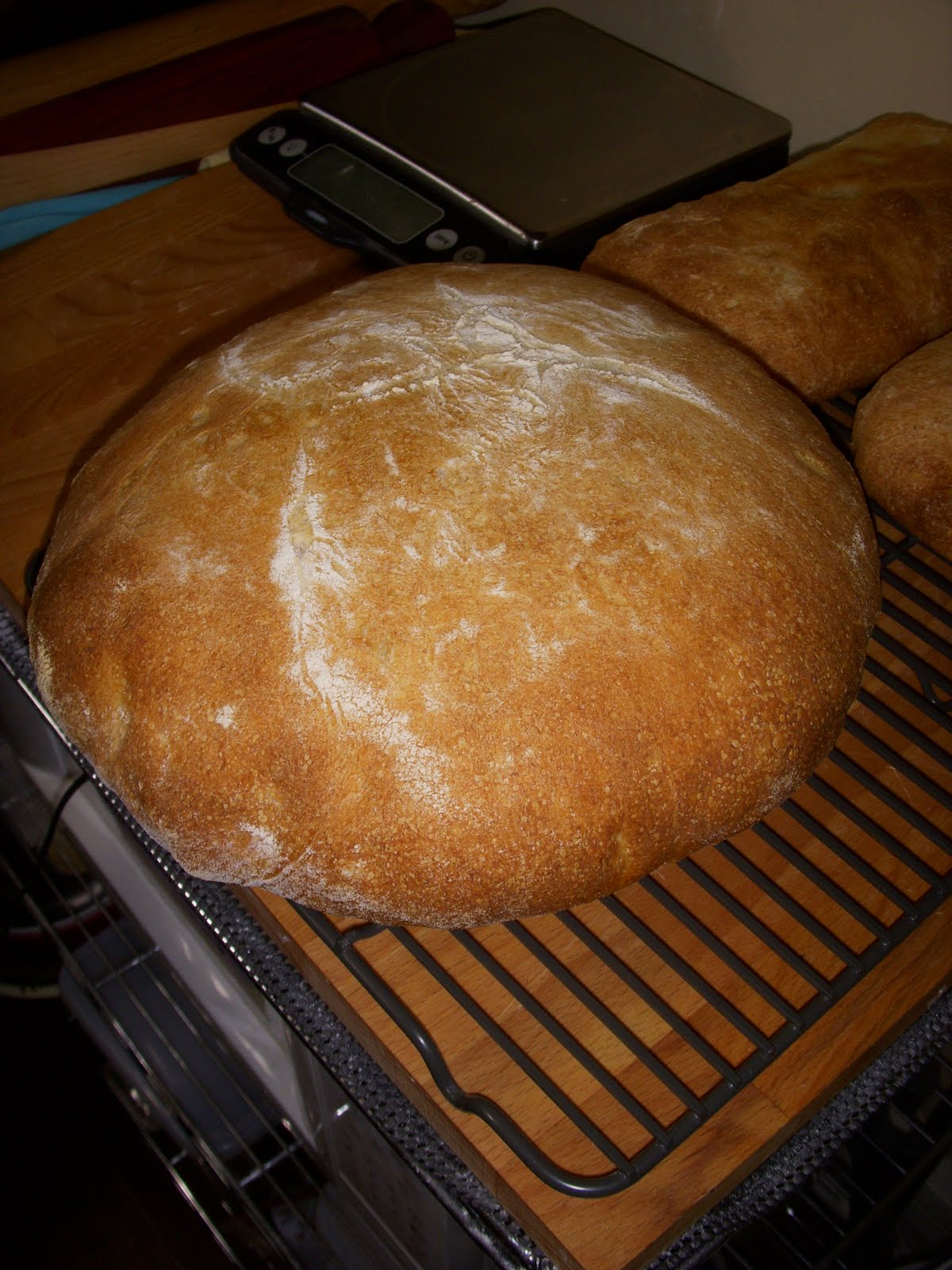 The Baritone Bread Log: Bread Log 2: Ciabatta with Stiff Biga