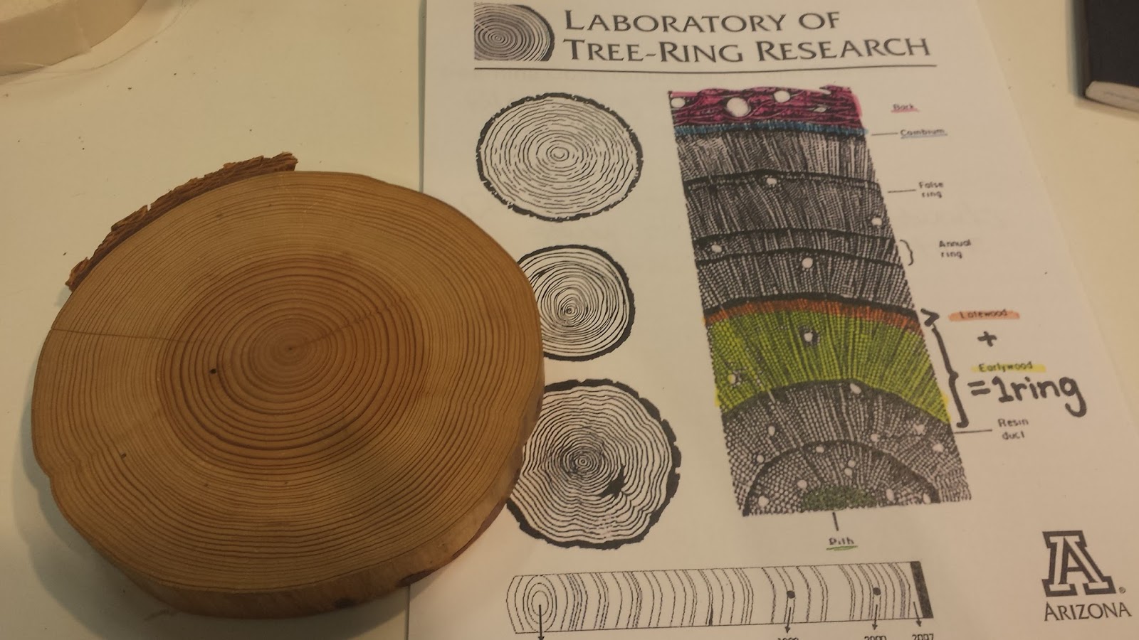 I Am What I Teach: Labratory of Tree Ring Research