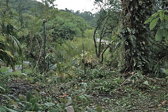 BunyipCo: Cyclone Yasi; The Aftermath