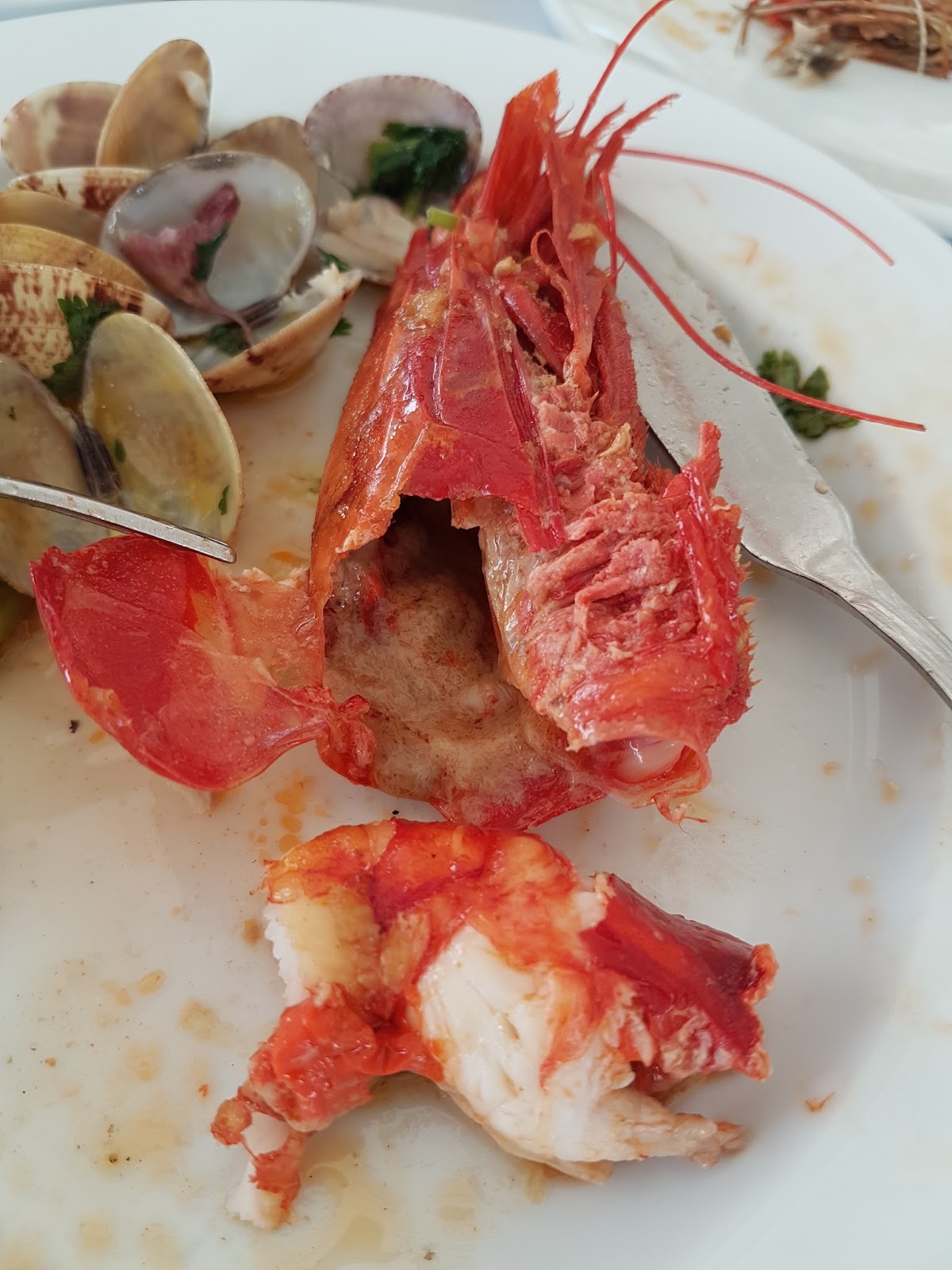 pho-licious: What is a Hepatopancreas?