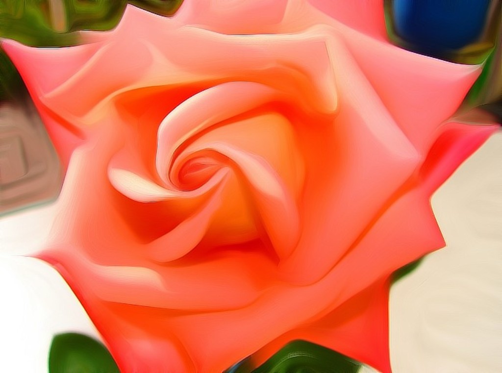 ps-pictureshop: Rose, Roza, hoa hồng, Roses, faqekuq, ruže, roser, roses,