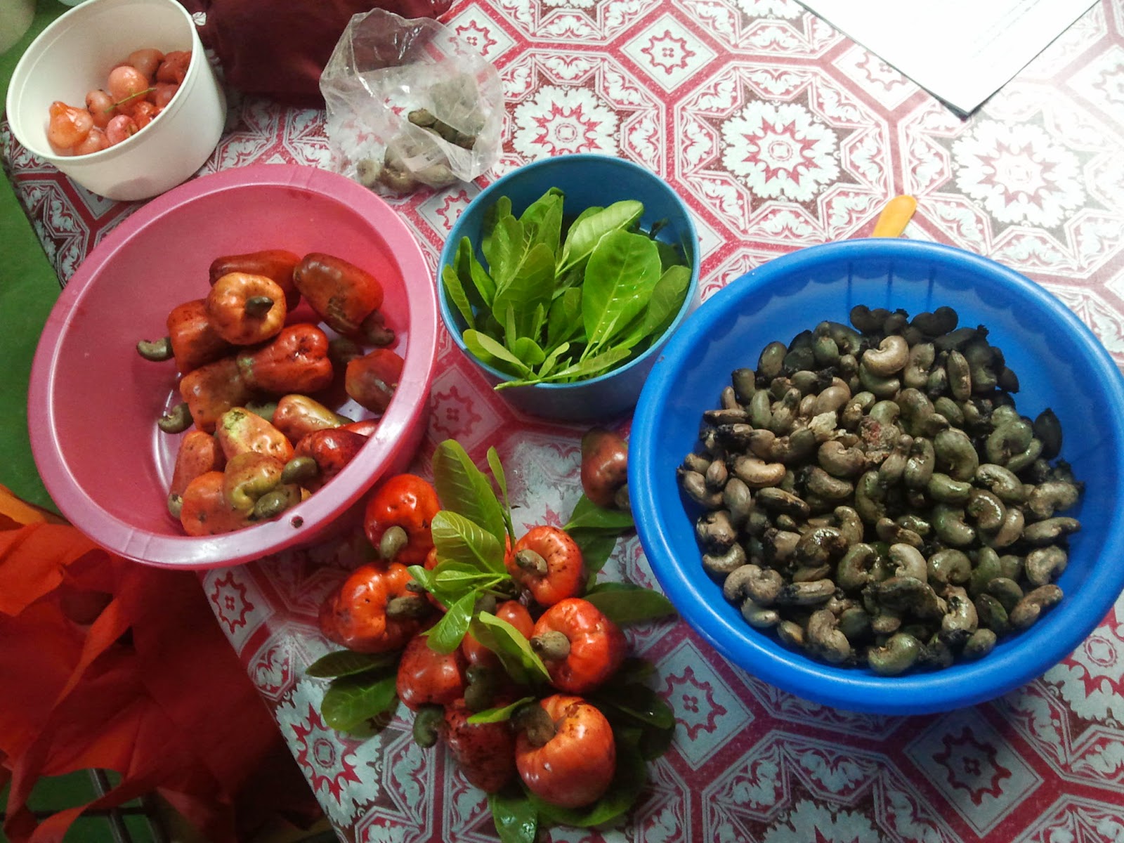 Ummi Yayah Izz: GaJuS ke JaGuS??????