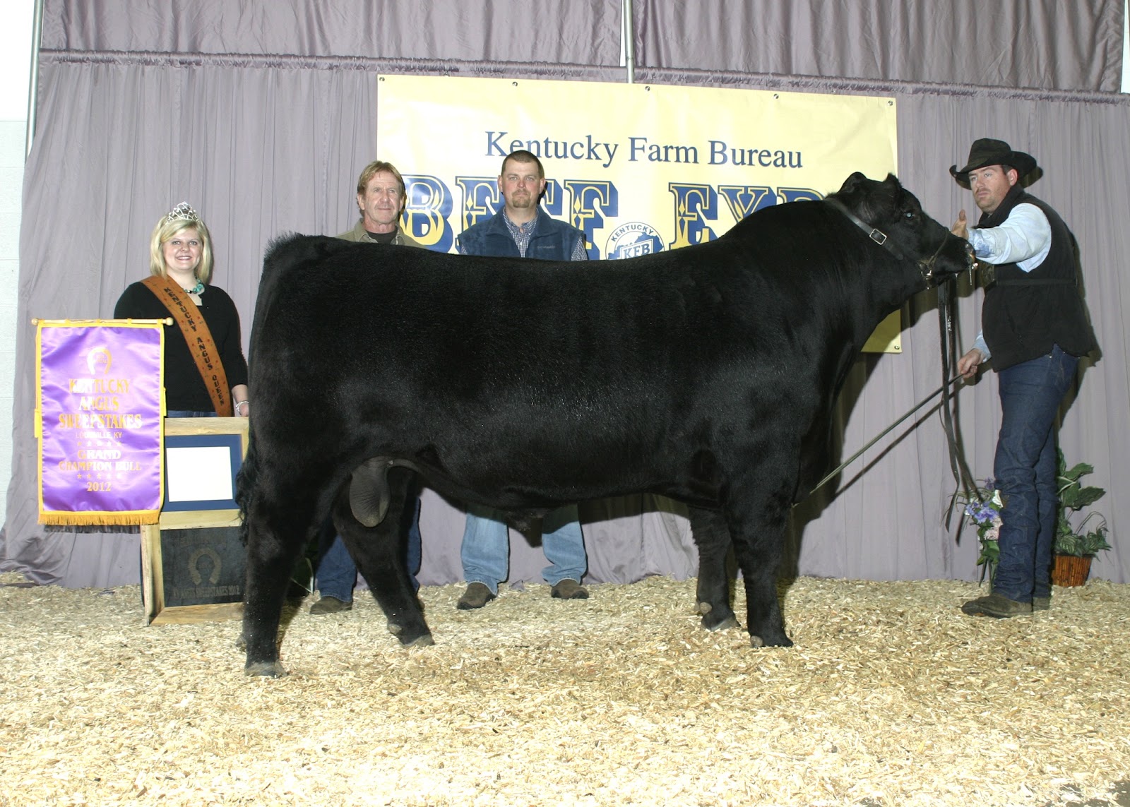 Kentucky Angus Association: 2012 Sweepstakes Winners
