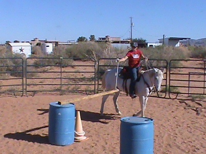 Functional Horsemanship: Trail Obstacles