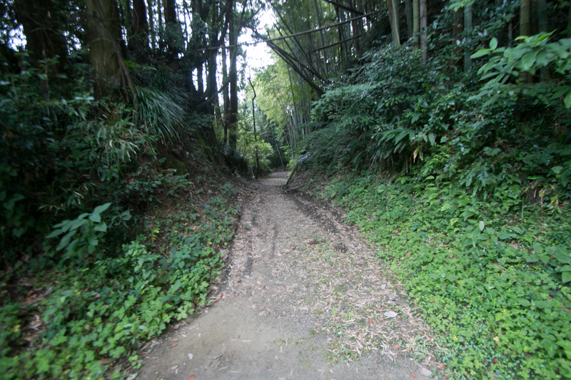 Japan Castle Explorer: Sadowara Castle -Two-sided castle of two-sided ...