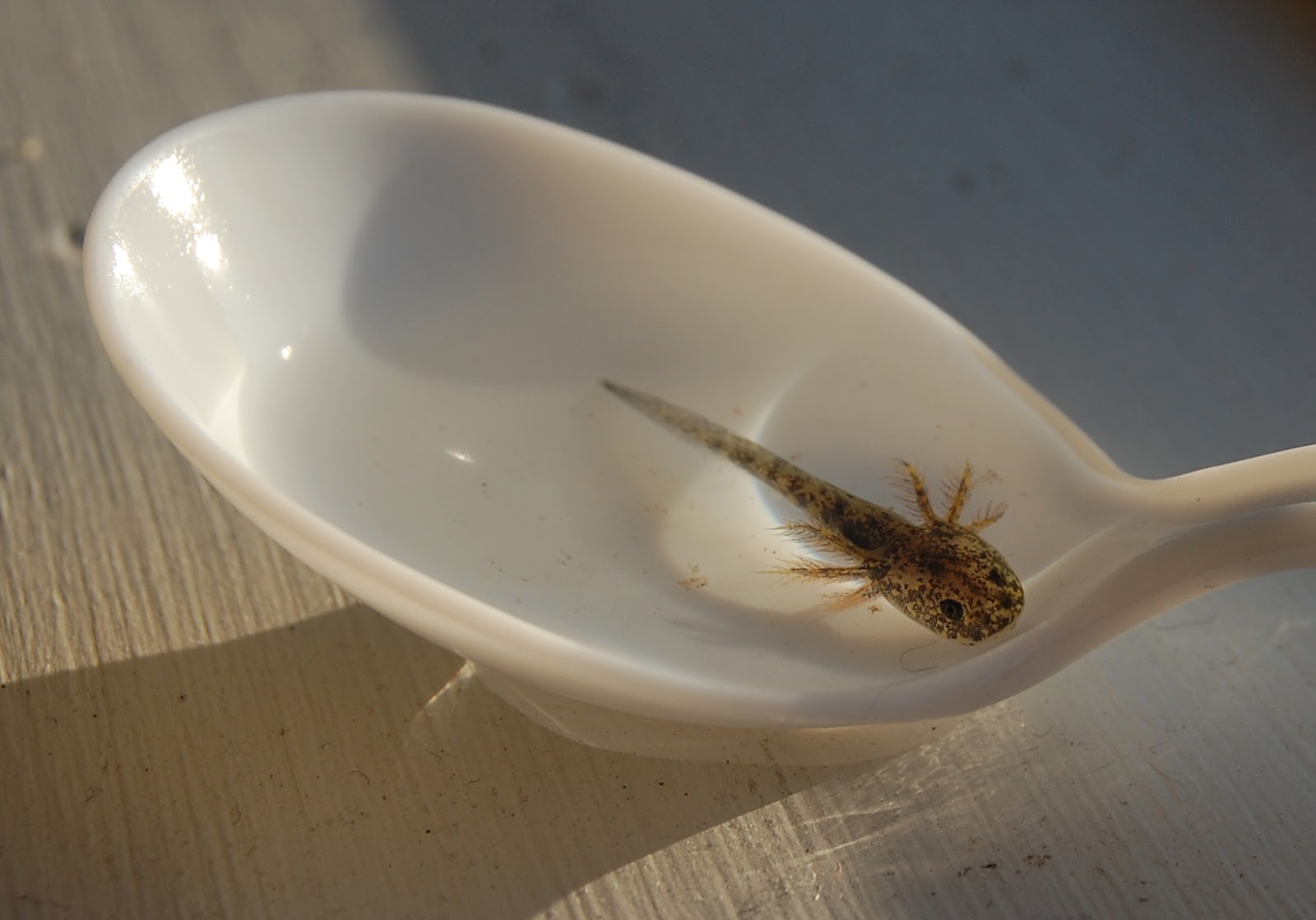 Real Monstrosities: September 2014