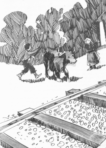 El blog de "Acebedo": Leopoldo Alas "Clarín" (Ovetense y Asturiano de ...