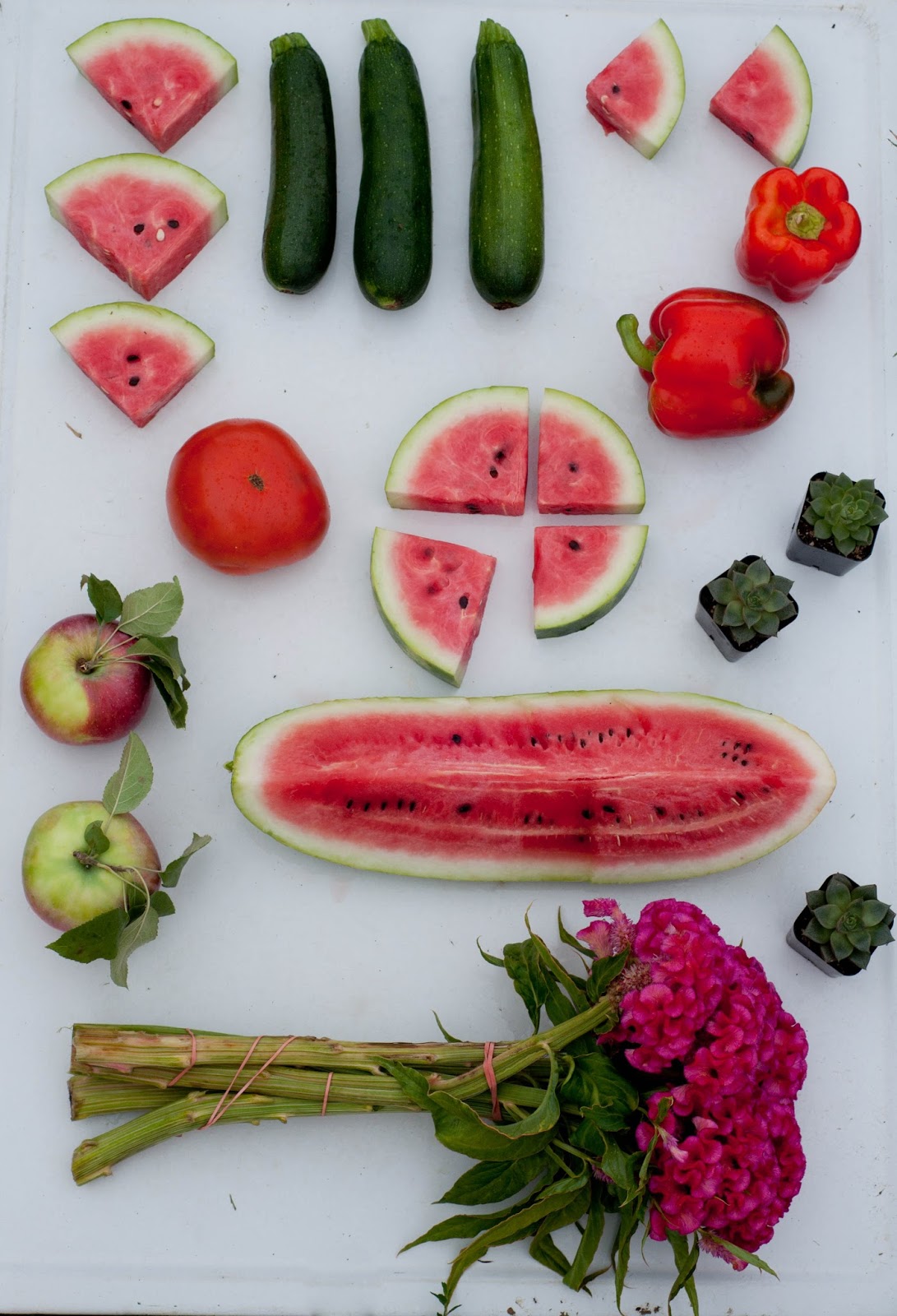 Robson's Farm: Vegetable Photo Shoot September