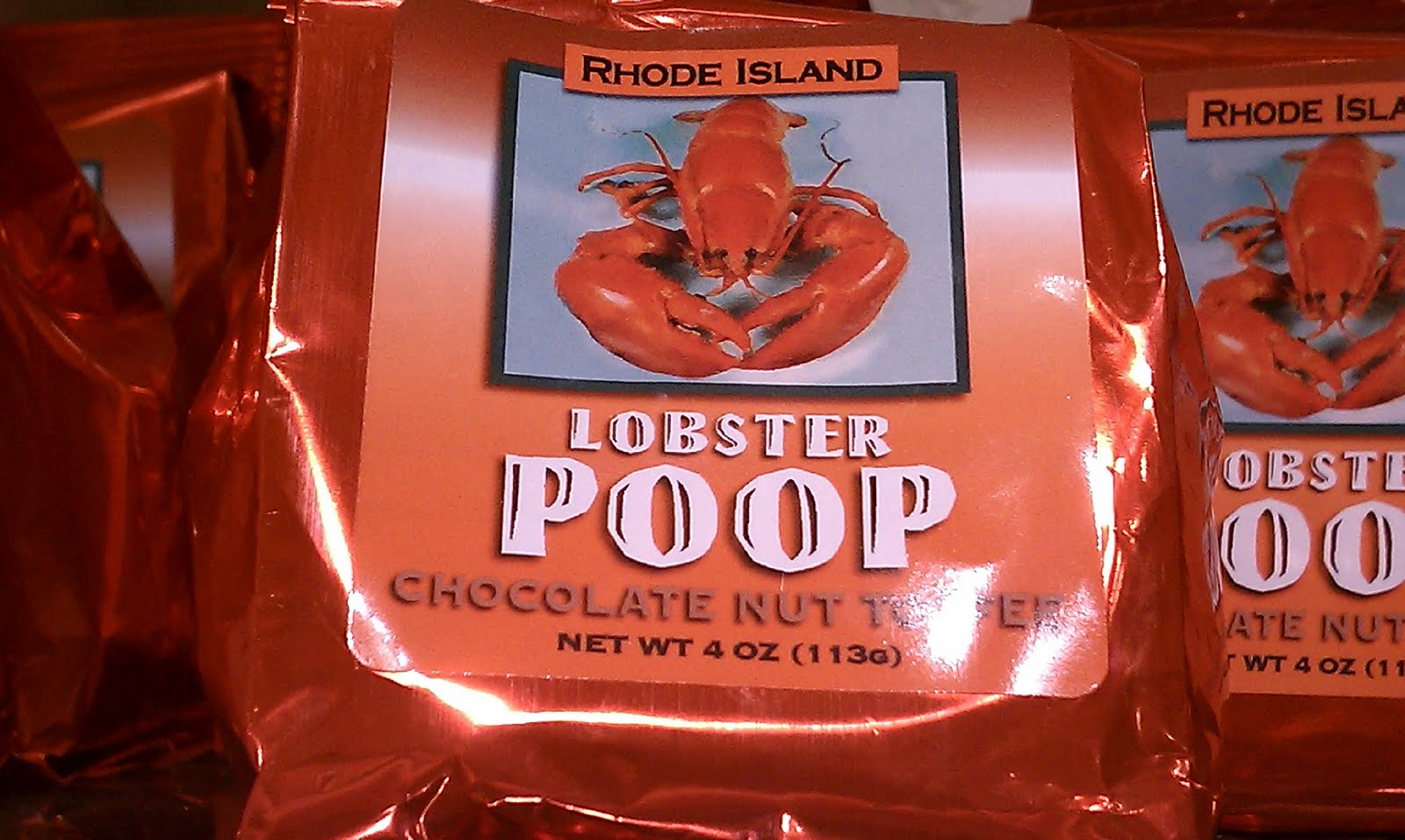 WILD ABOUT WORDS: NESCBWI 2011 Conference and, um, Lobster Poop