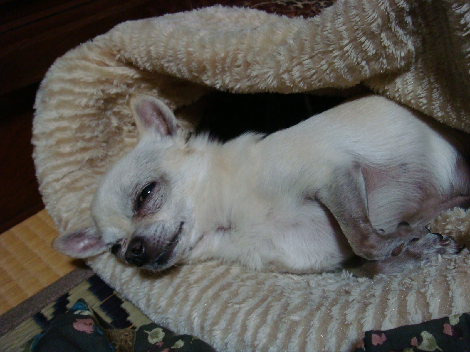 Ridin' Low!!!: zzzzzzzzzzzzzz,,,,,,,,,,,,,,,