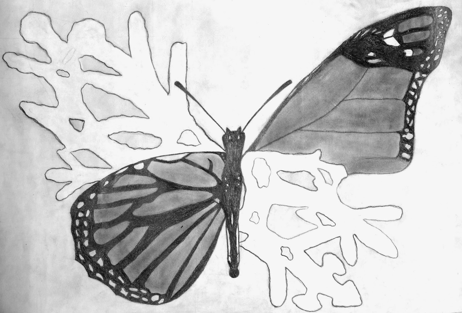 Student Art: Hybrid Designs | concept + transition