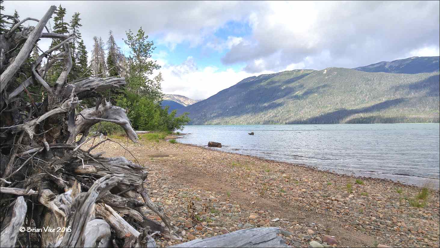 Northern Interior British Columbia: Morice Lake Houston British ...