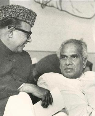 CHINAR SHADE : January 2016