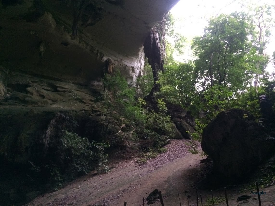 Niah National Park - Niah Cave Experience, Miri Malaysia [Part 2 ...