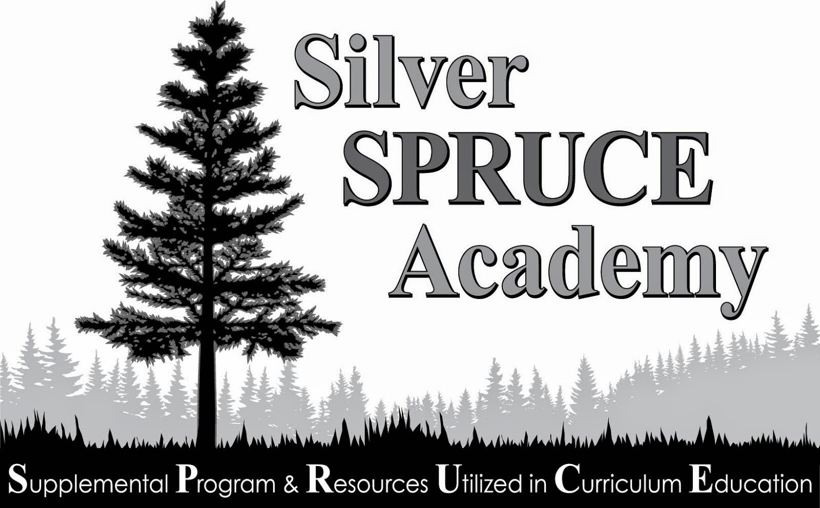 Silver SPRUCE Academy