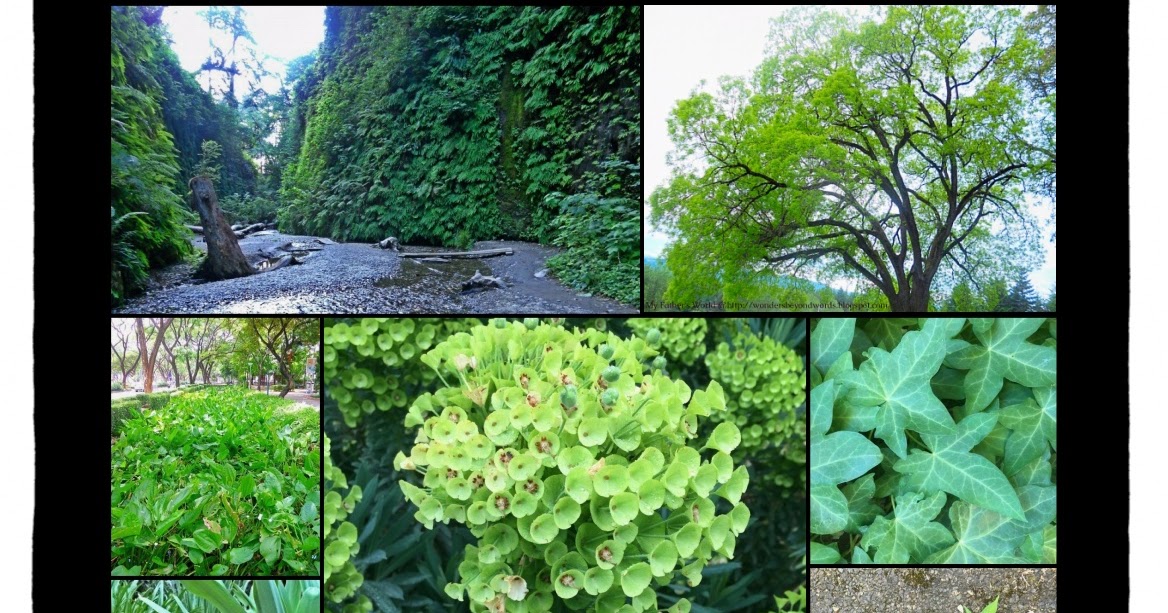 Greenery Collage