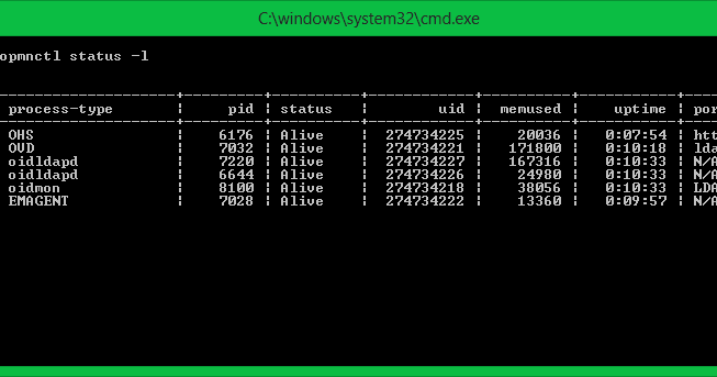 OVD 11.1.1.7.0 Add Instance