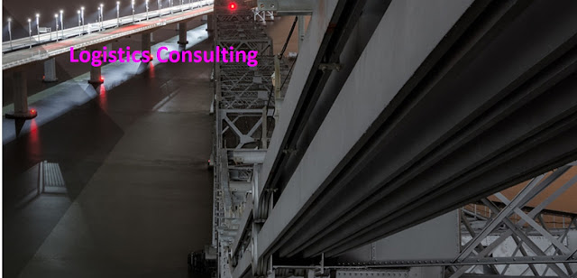 Top Logistics Consulting Services by Siecap ~ Infographics Supply Chain Consultants Brisbane