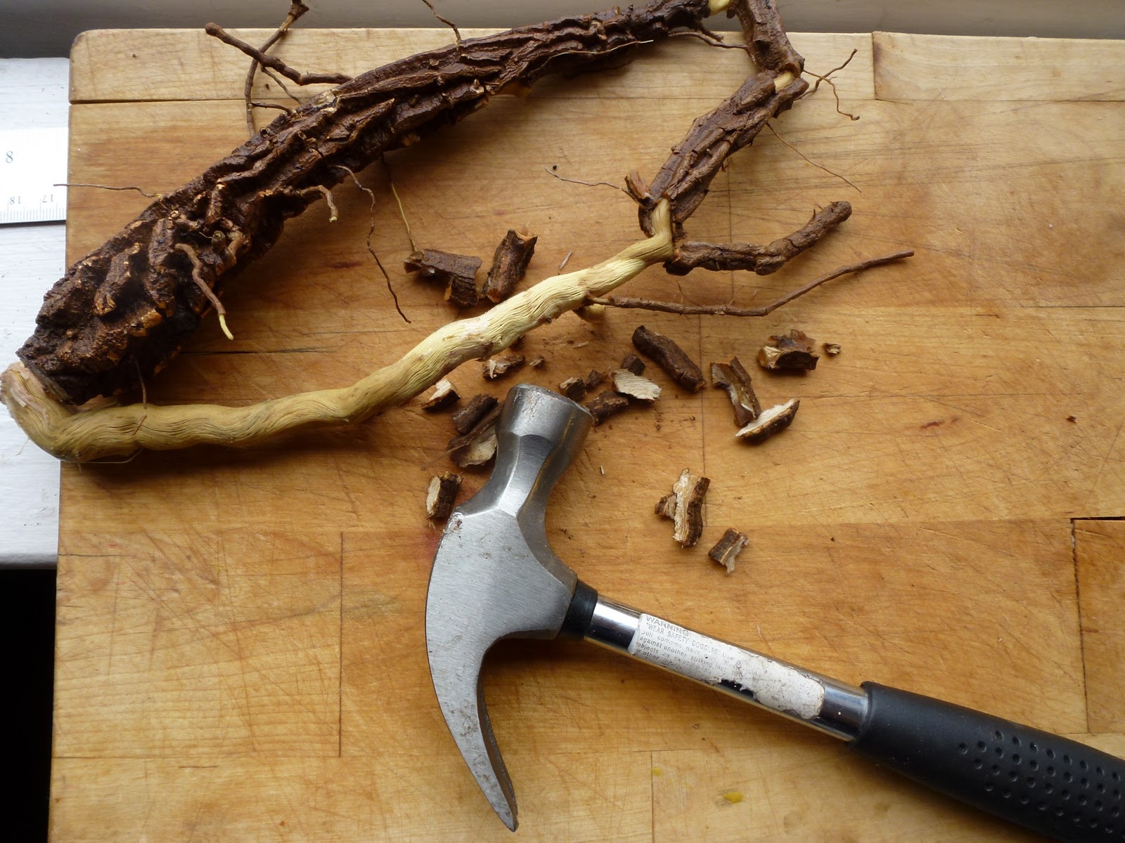 Wild Harvests: October 2011