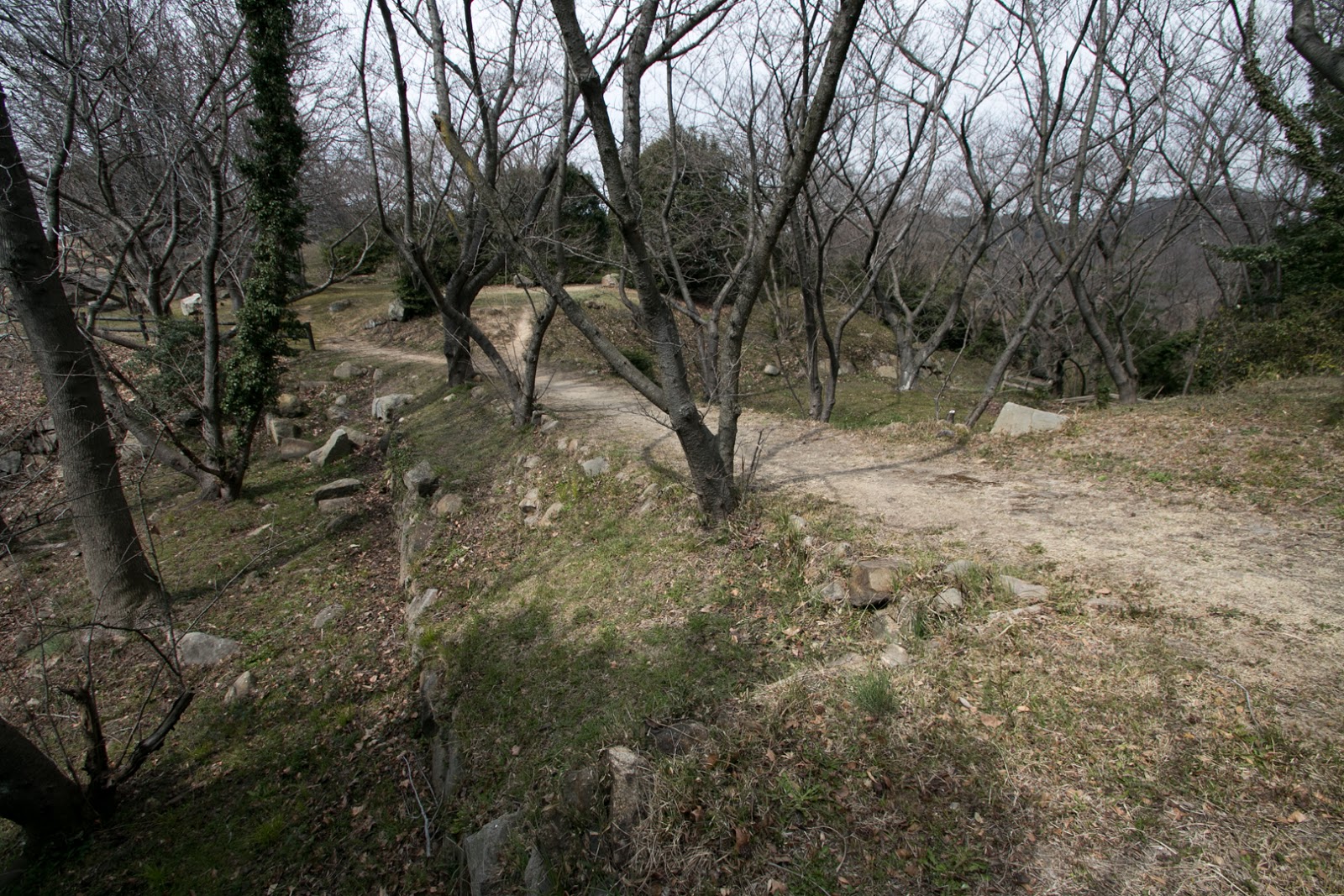 Shimotsui Castle -Castle looking down straight and bridge- | Ken's ...