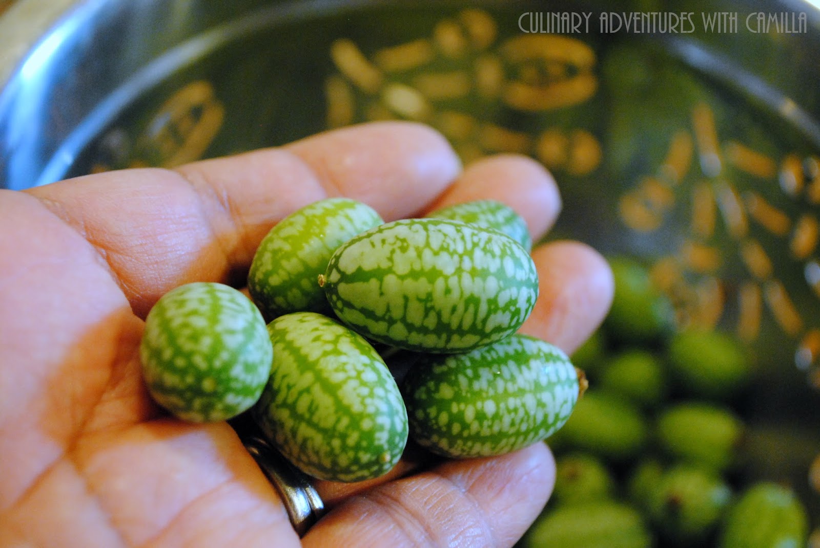 Pickled Mouse Melons