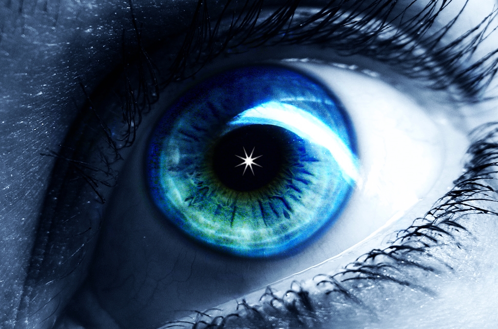 The Paranormalistics: A Woman With Visions Helps Police Find a Body