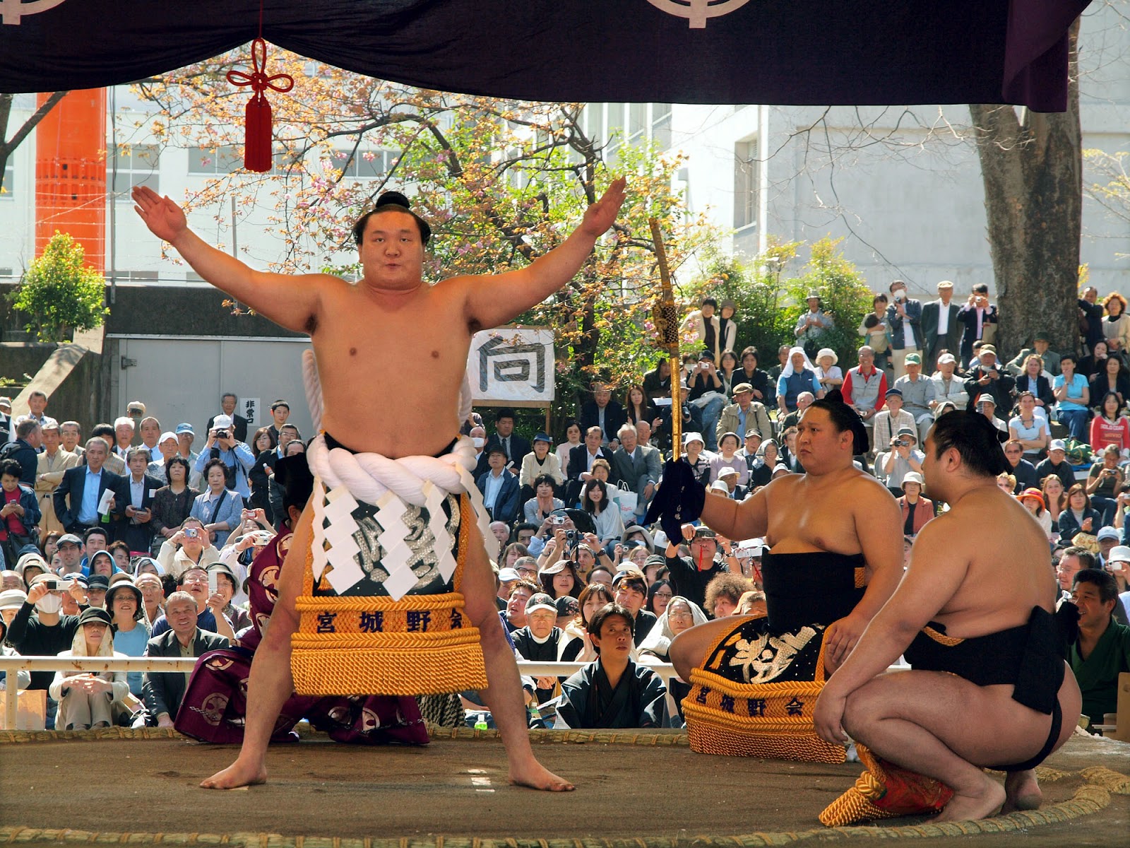 Yusuke Japan Blog: Do you know the sumo?
