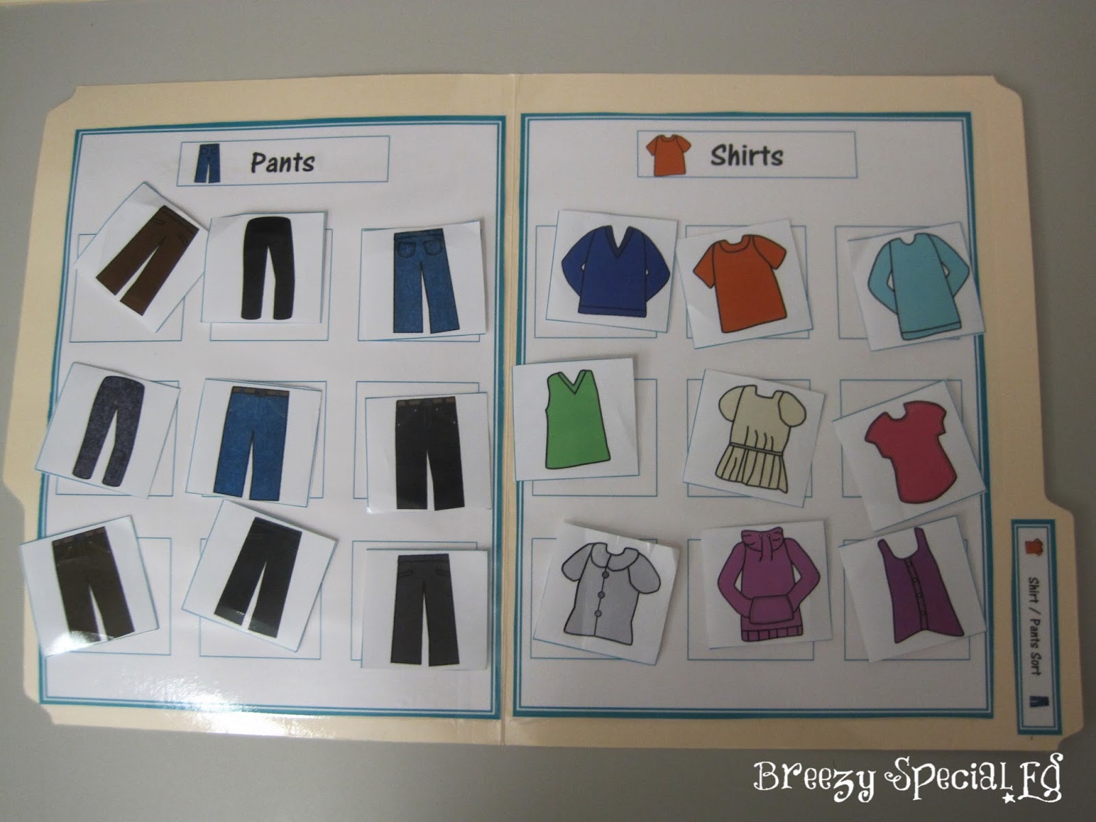 Laundry Life Skill File Folders - Breezy Special Ed