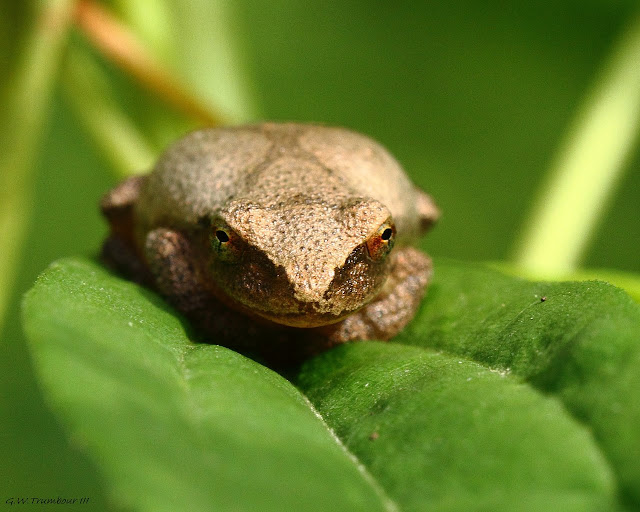 Teknik Sudut Pengambilan Gambar Dalam Fotografi - Multimedia