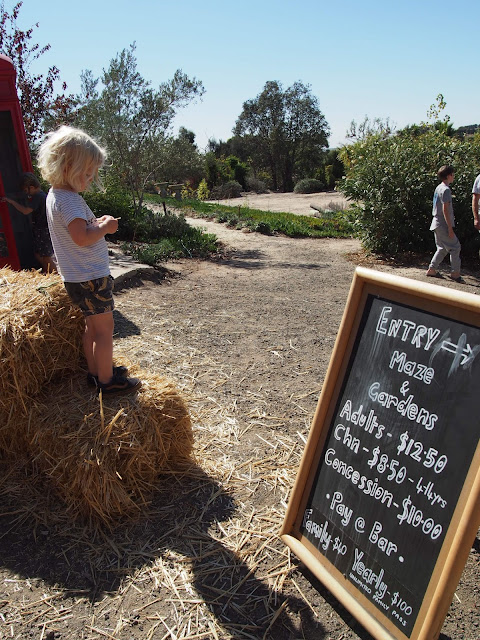 Barrabool Maze Estate Ceres Review | Yellow Dandy