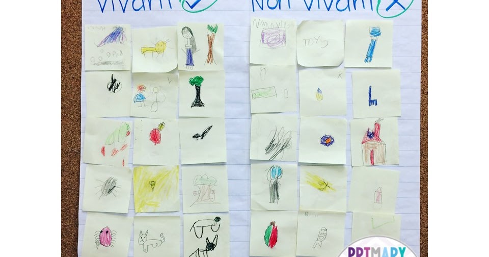 Living things - Primary French Immersion Resources